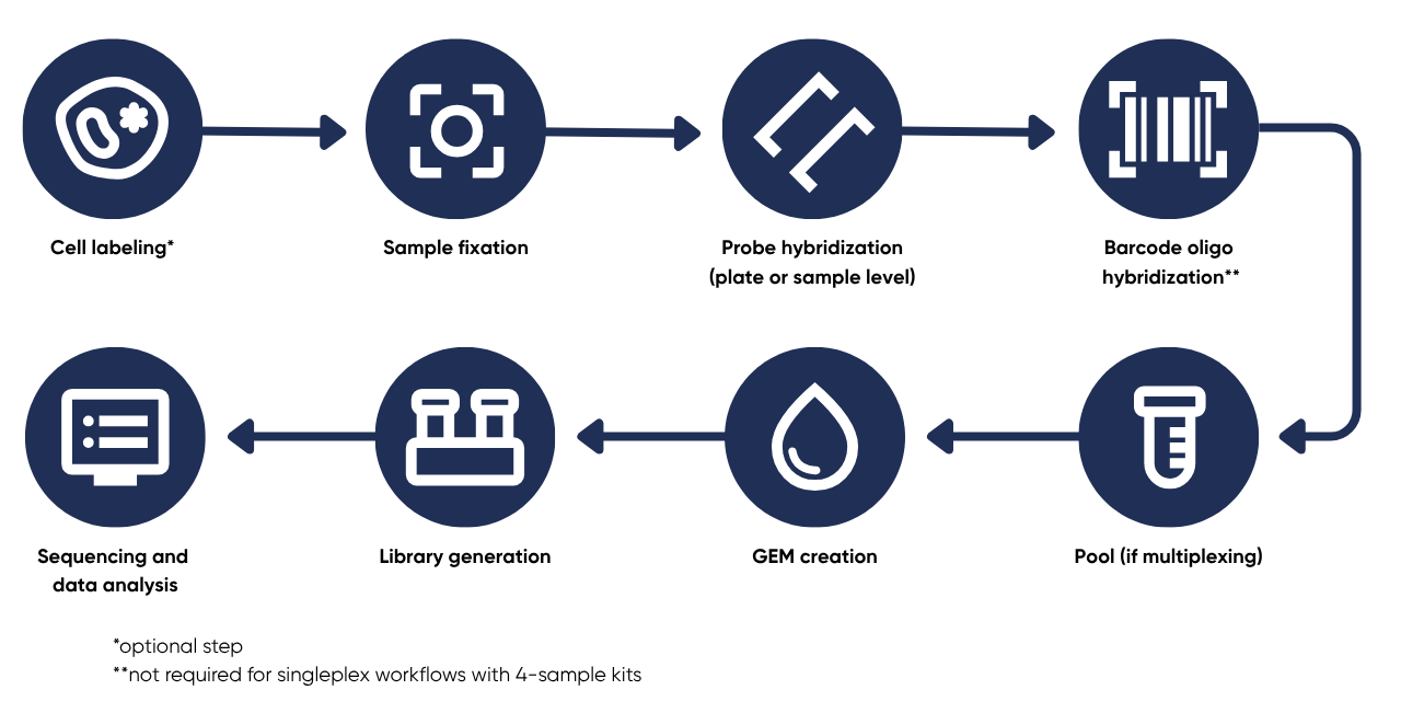 10x Genomics GEM-X Flex v2 | Psomagen