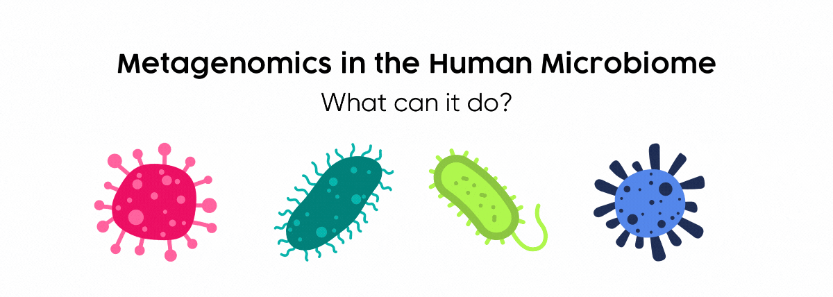 Uses of Metagenomics in Pharmaceutical Development