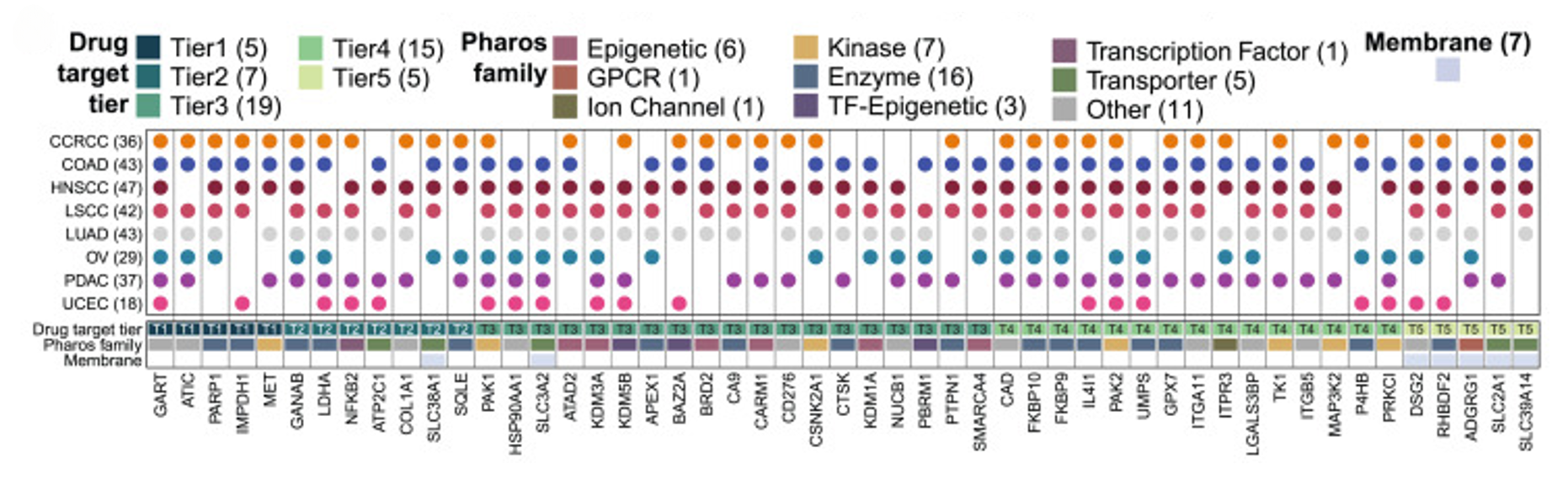 Proteogenomics in Oncology